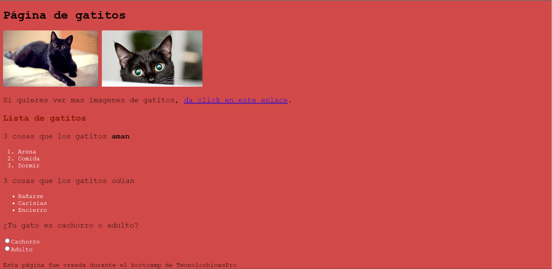 Mayleni Magallón | Desarrollo Web Front-End